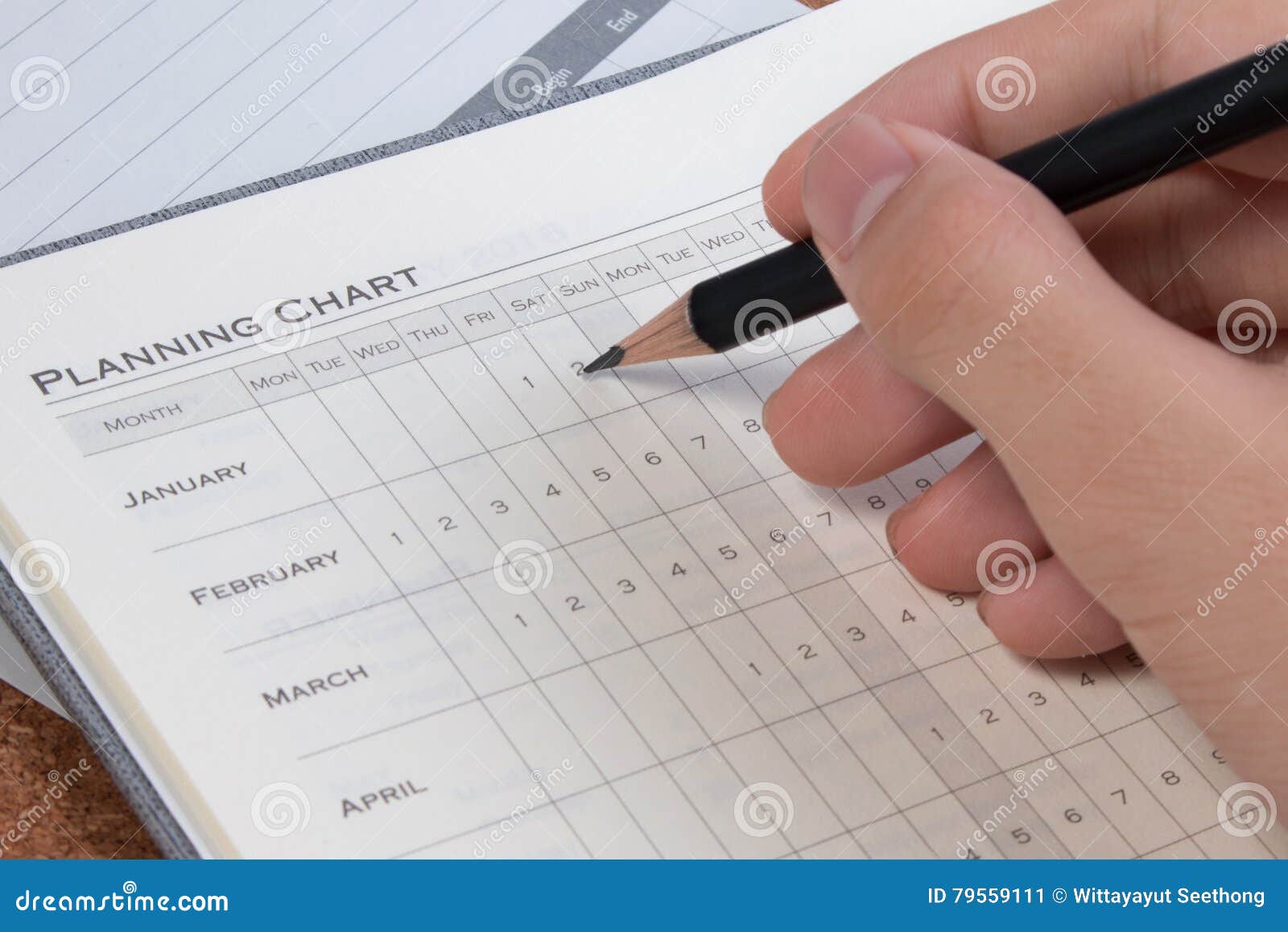 Project Plan Concepts. Blank Business Planning Chart Form. Details of ...