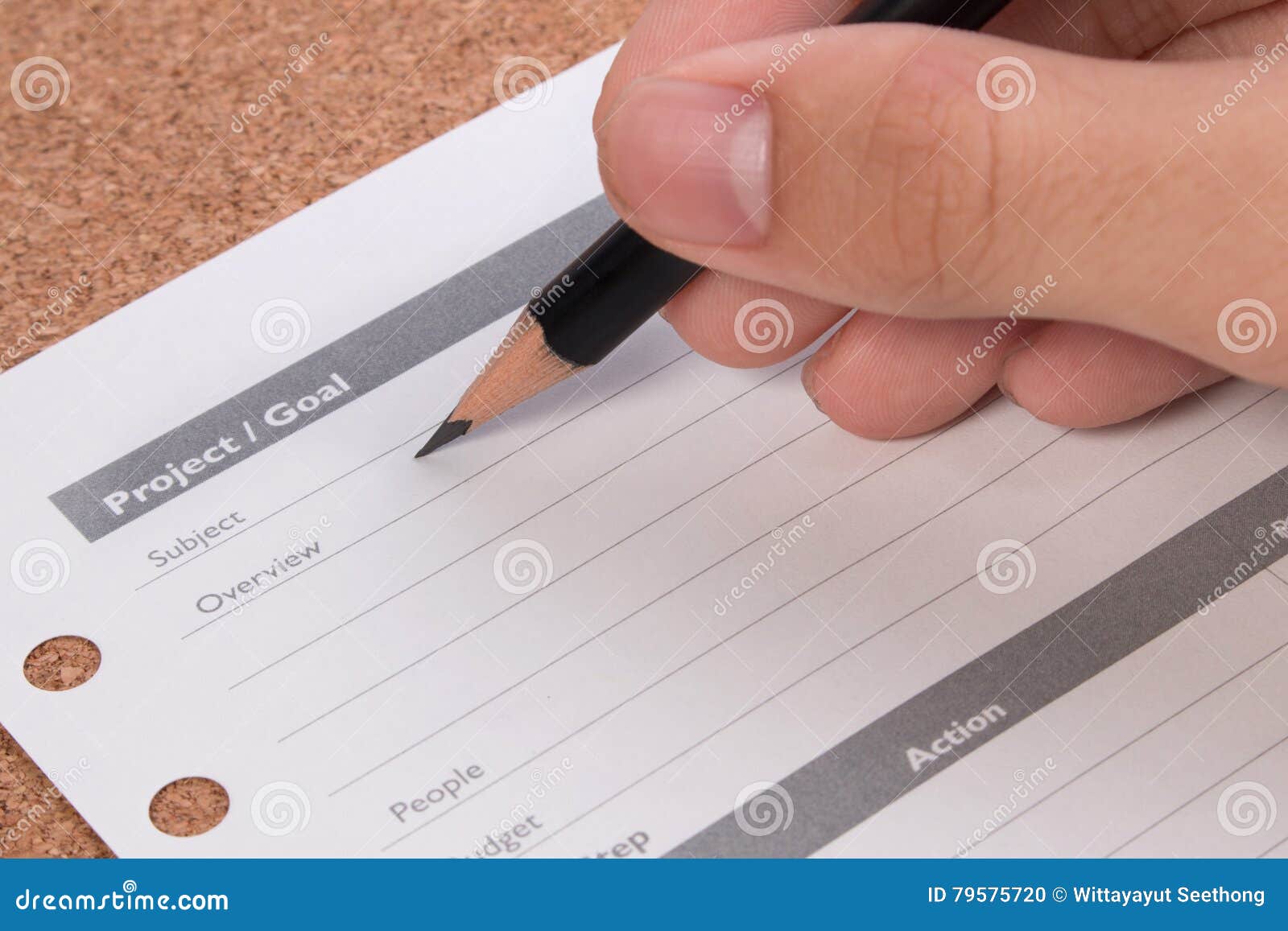 Project Plan Concepts. Blank Business Planning Chart Form. Details of ...