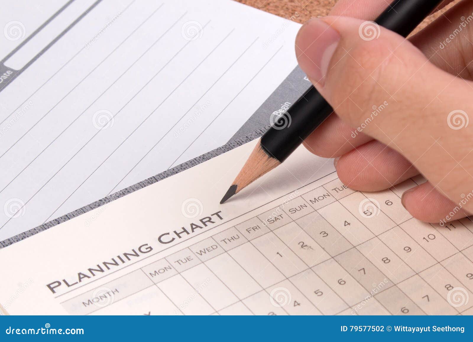 Project Plan Concepts. Blank Business Planning Chart Form. Details Of ...