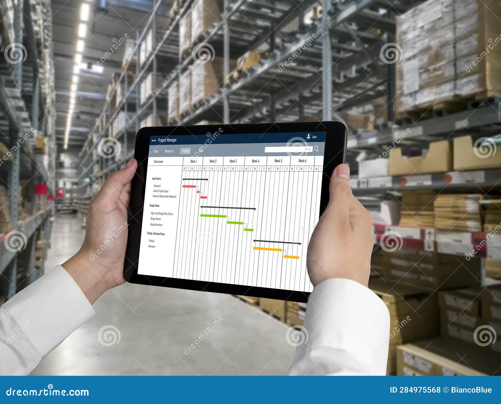Project Planning Software for Modish Business Project Management Stock ...