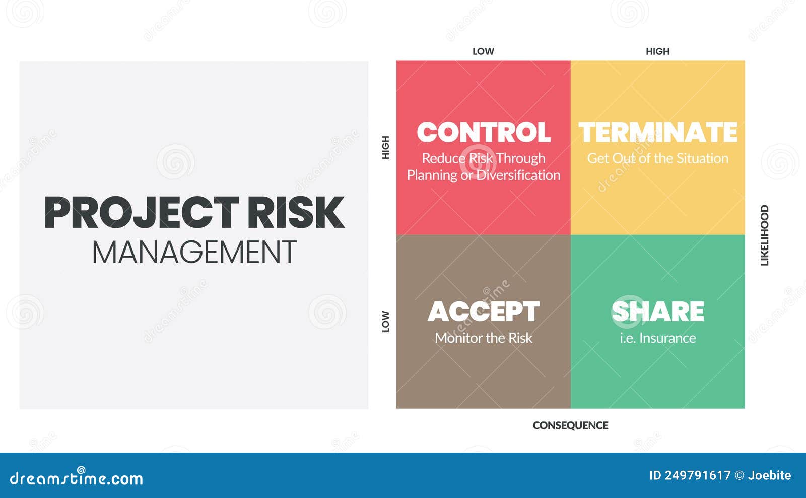 The Project Risk Management Matrix Infographic Stock Vector