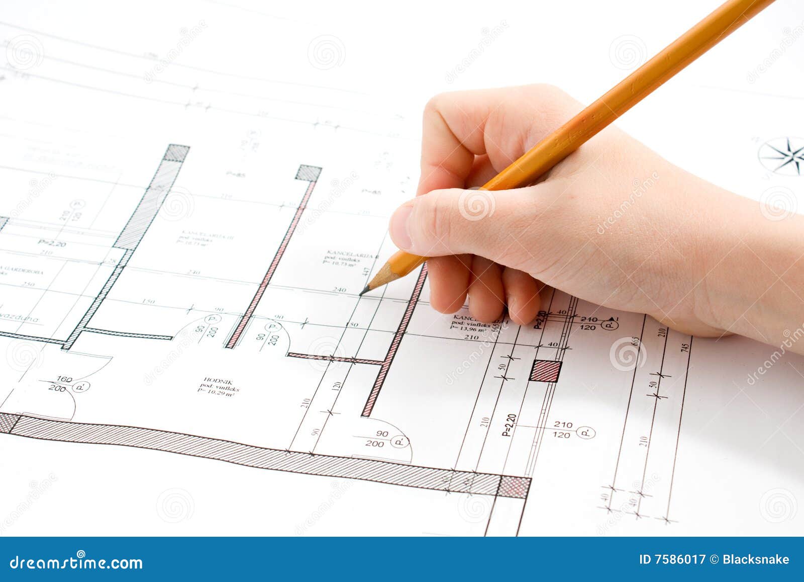 Hand Drawing Chart, Graph Stock Of Growth | CartoonDealer.com #193730025 Hand Drawing Chart, Graph Stock Of Growth | CartoonDealer.com #193730025