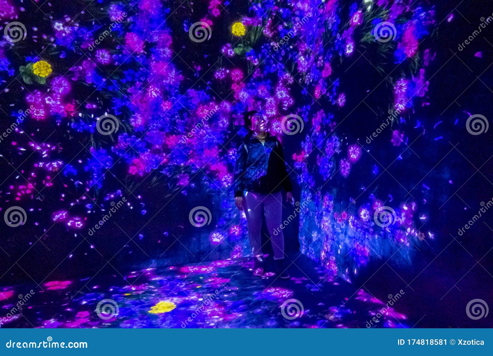 Projector and Freflecting Light Effect Art at TeamLab Borderless ...