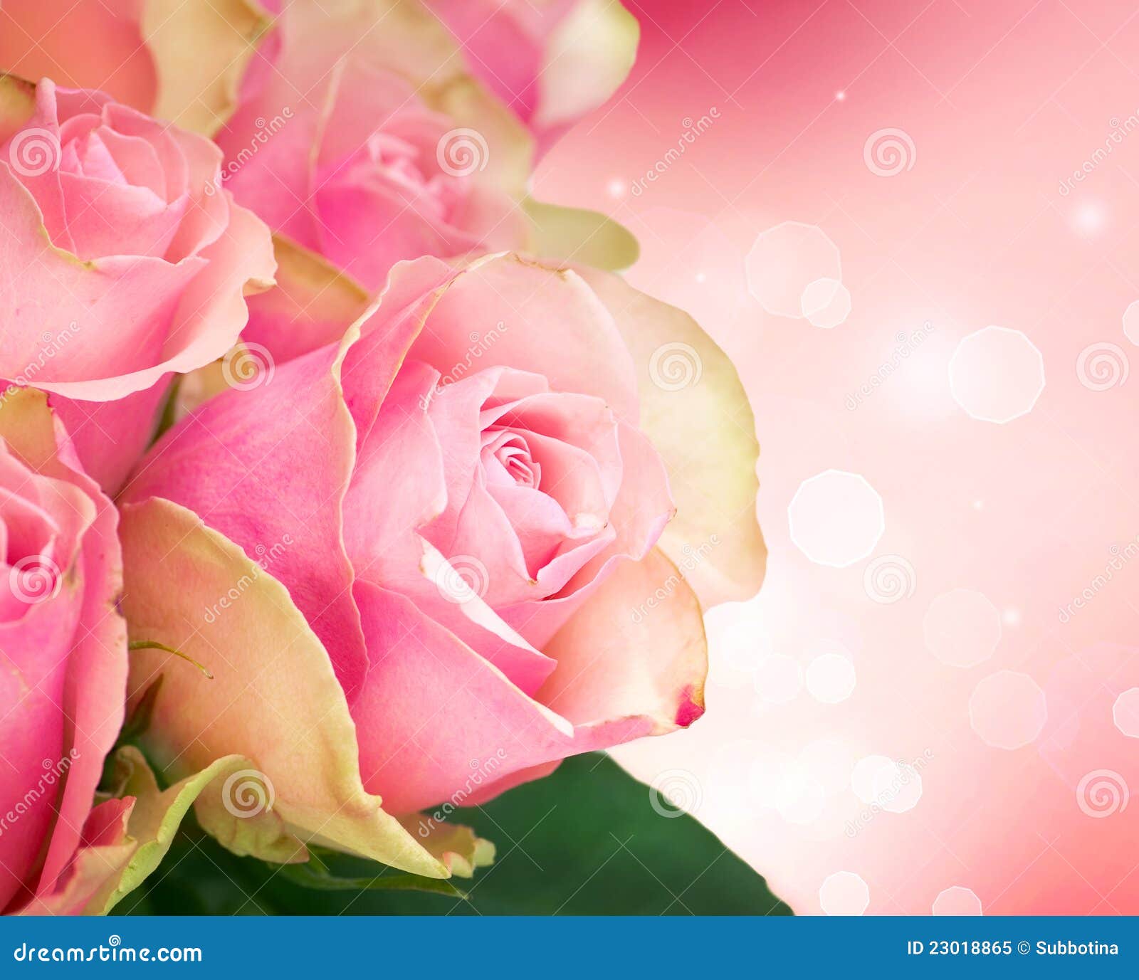 Projeto Da Arte Da Flor De Rosa Imagem de Stock - Imagem de pétalas ...