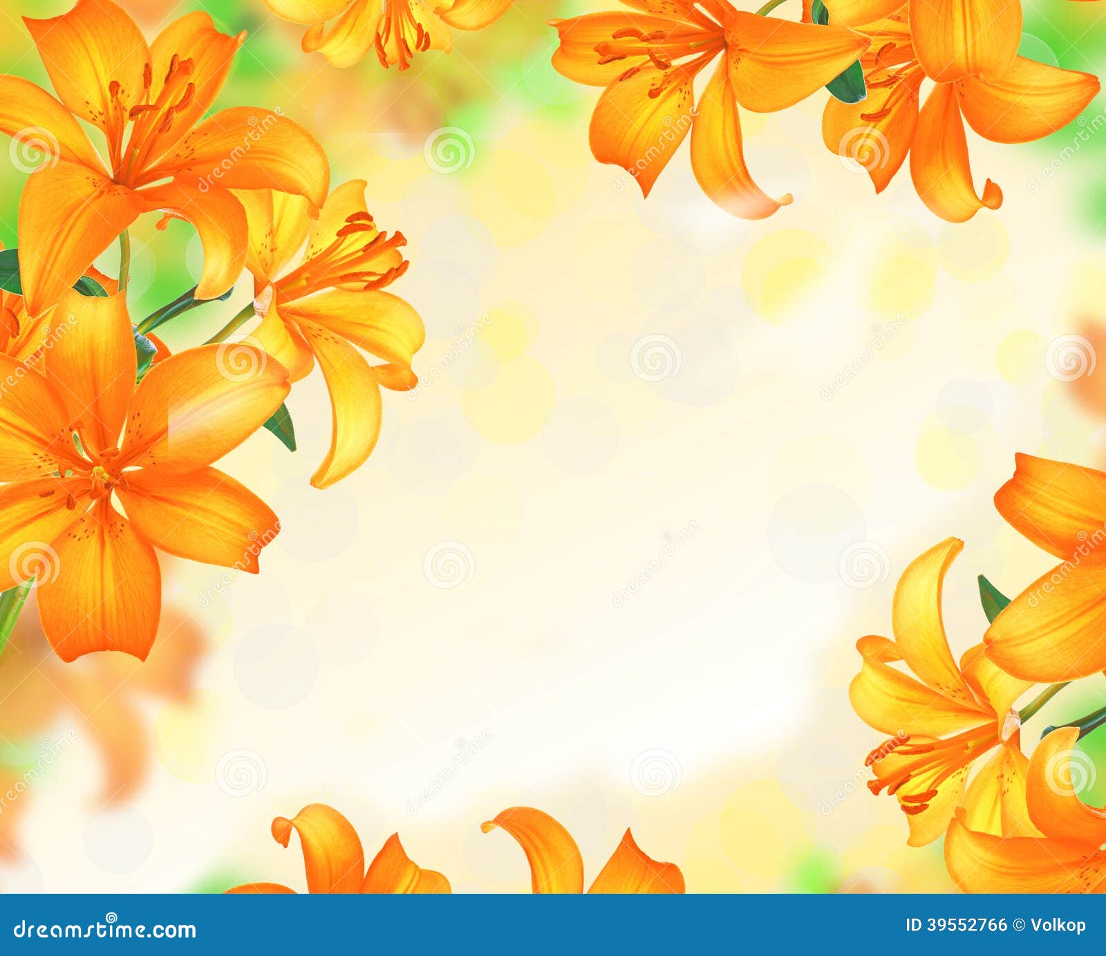 Projeto Da Beira De Lily Flowers. Foto de Stock - Imagem de verde ...