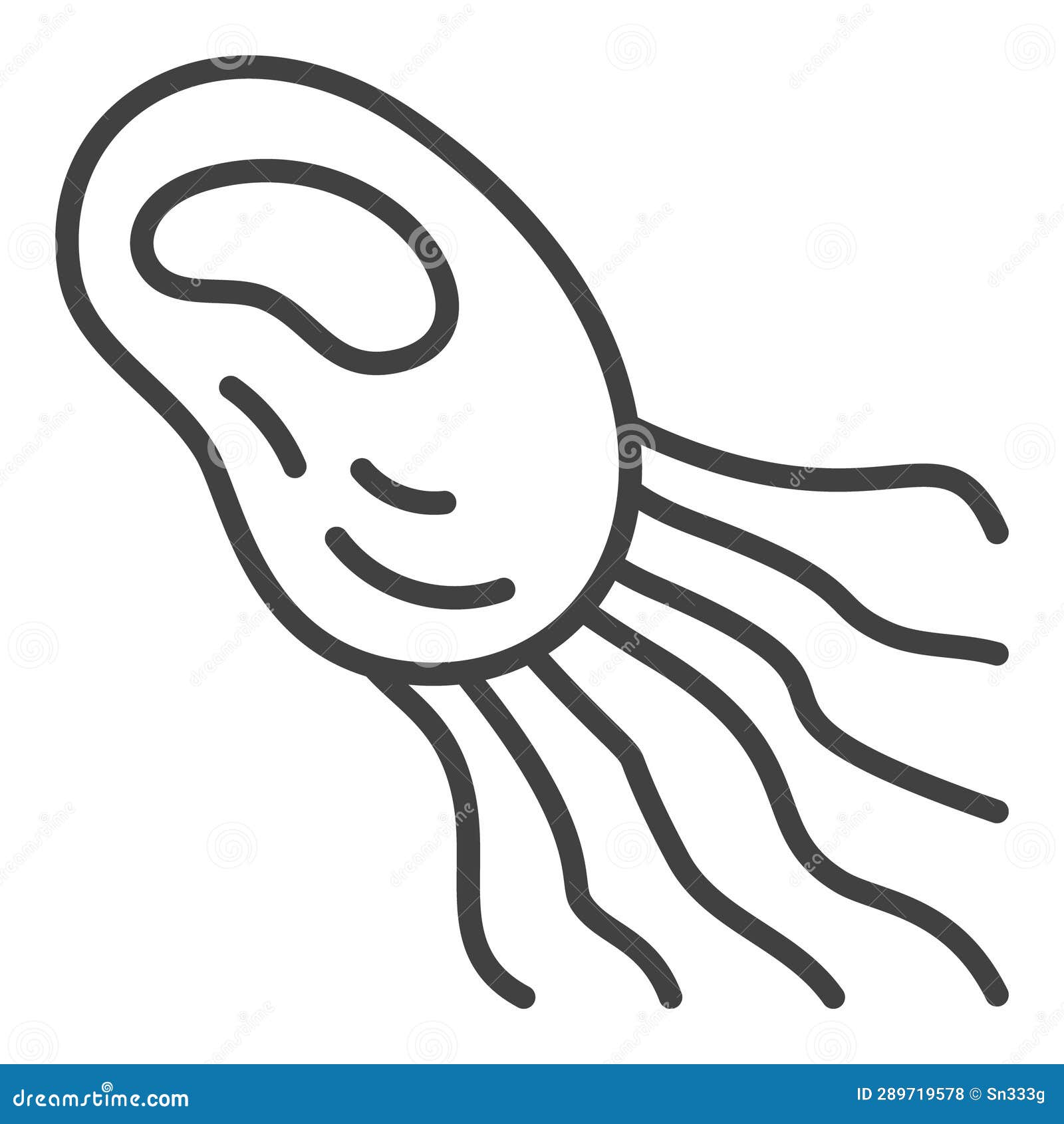 Prokaryote Microbe Vector Concept Outline Icon or Symbol Stock ...