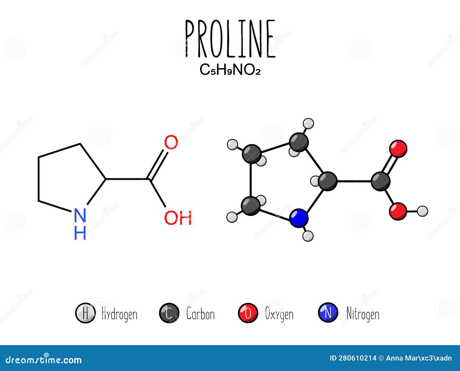 Proline Amino Acid Representation. Stock Vector - Illustration of ...
