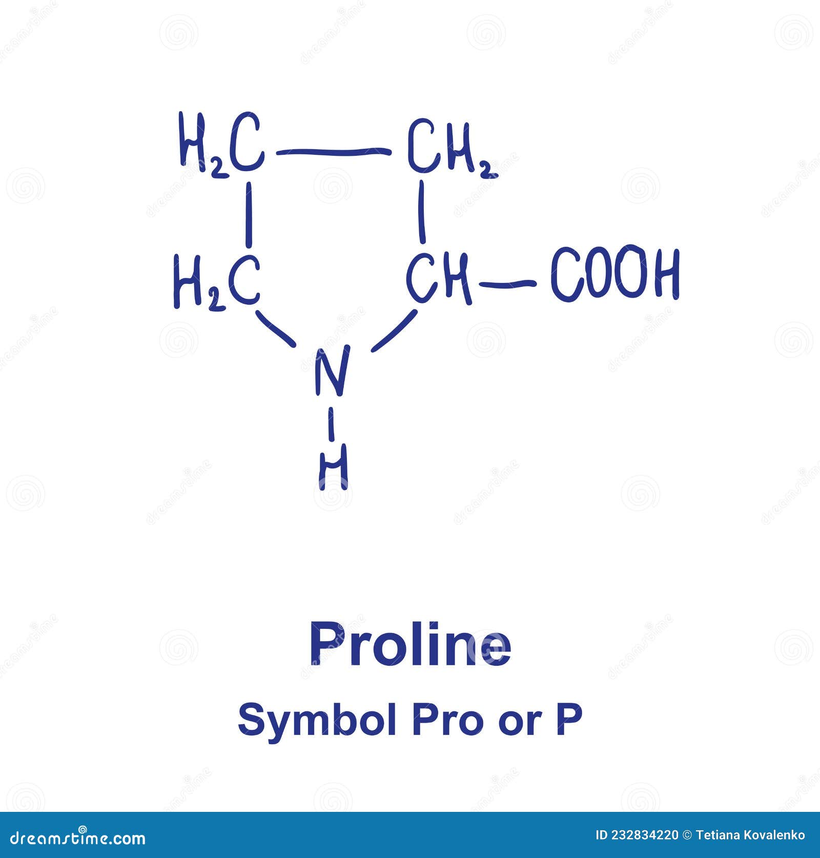 Proline Chemical Structure. Vector Illustration Hand Drawn Stock Vector ...