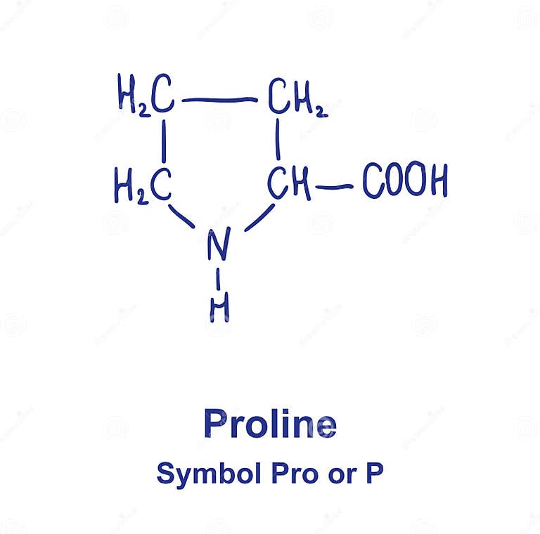 Proline Chemical Structure. Vector Illustration Hand Drawn Stock Vector ...