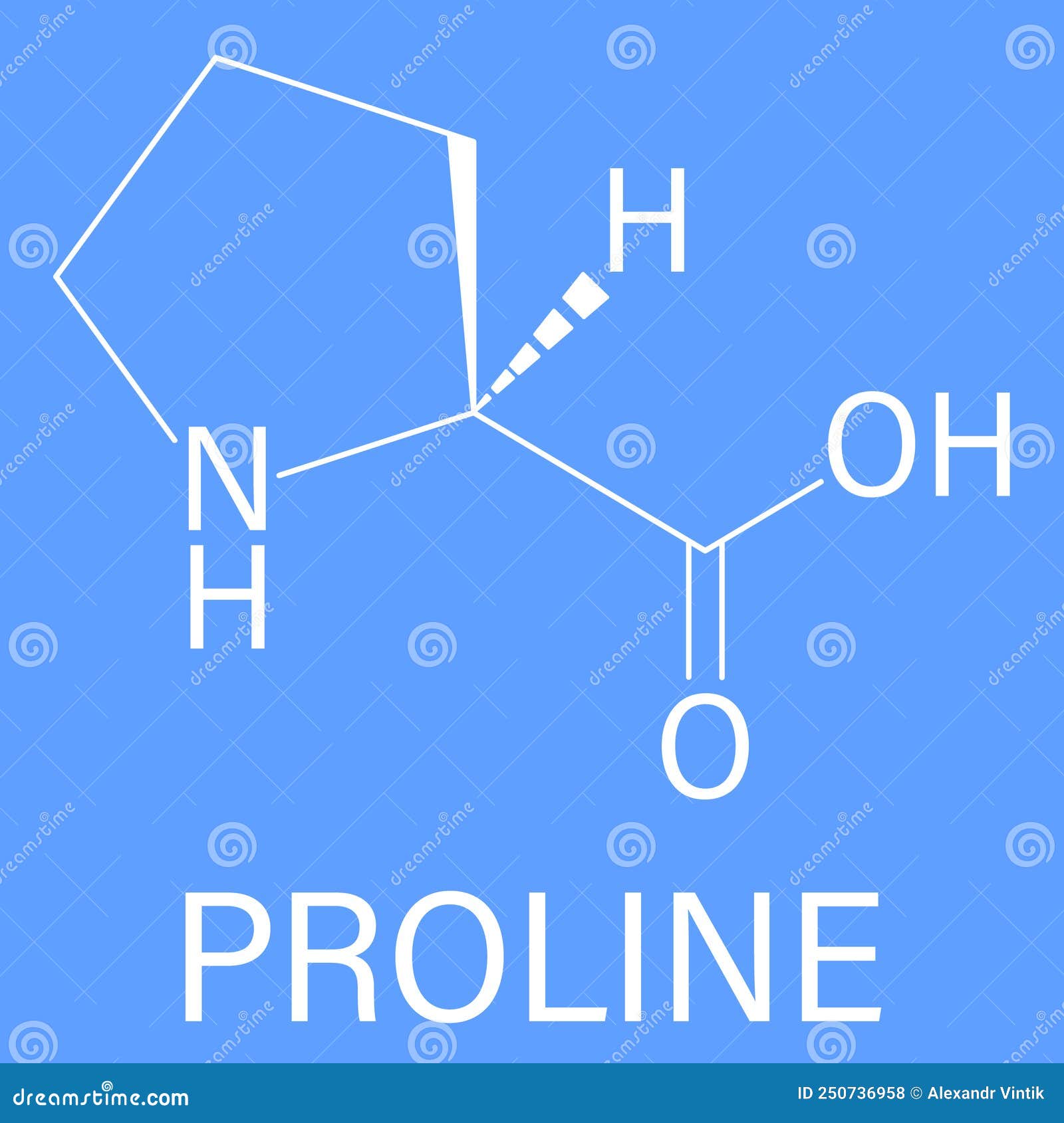 Proline or L-proline, Pro, Amino Acid Molecule. Skeletal Formula Stock ...
