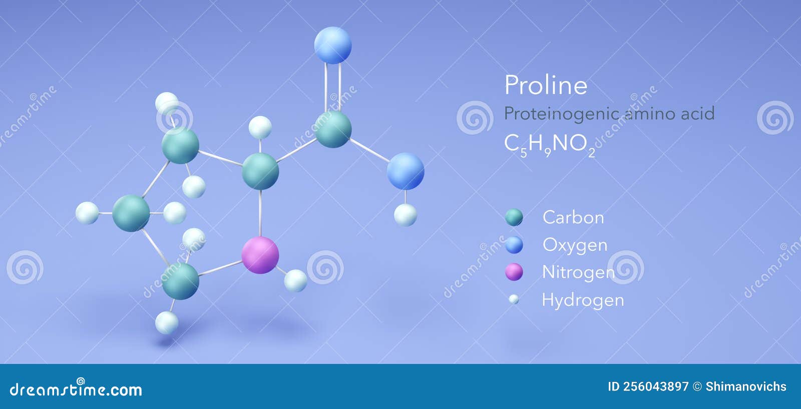 Proline Molecular Structures Proteinogenic Amino Acid 3d Model Structural Chemical Formula