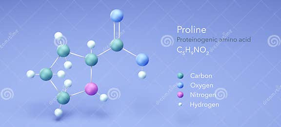 Proline, Molecular Structures, Proteinogenic Amino Acid, 3d Model ...