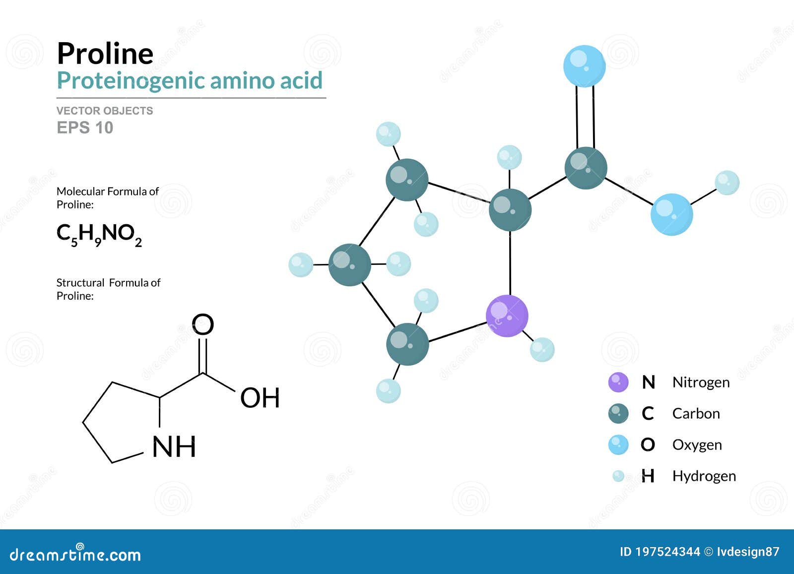 Proline Pro C5h9no2 Proteinogenic Amino Acid Structural Chemical Formula And Molecule 3d