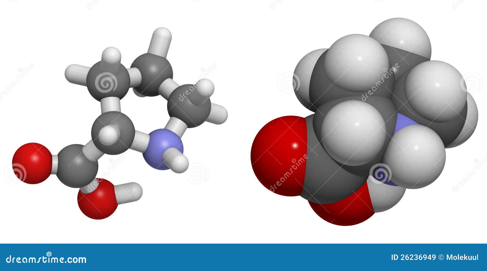 Proline L- Proline, Pro , P Proteinogenic Amino Acid Molecule ...
