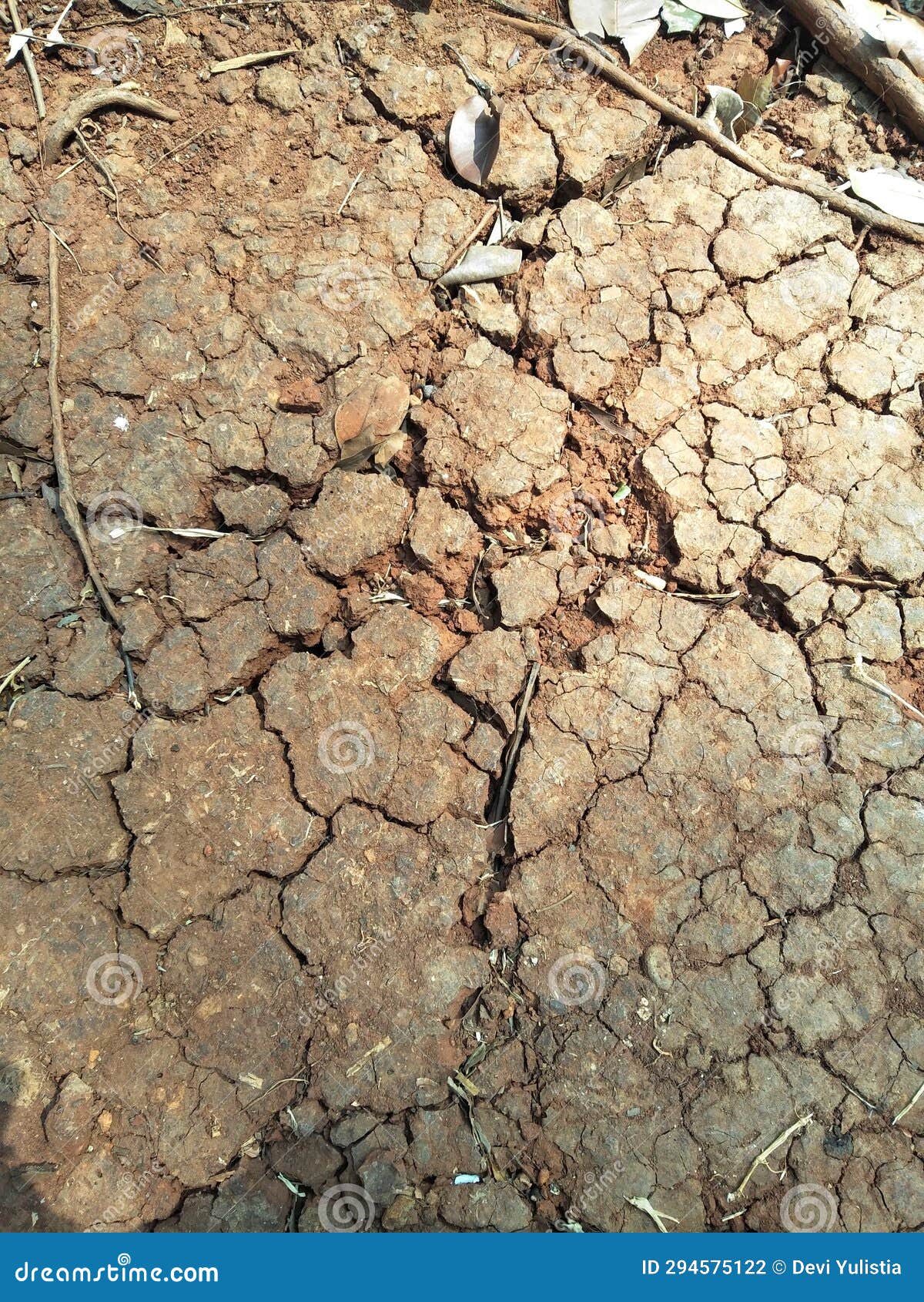Prolonged Dry Seasons Cause the Soil To Dry Out until it Cracks Stock ...