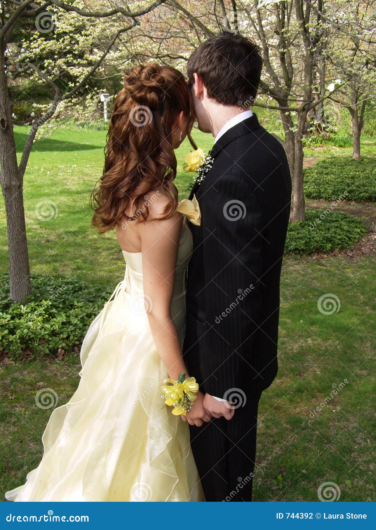 Prom Couple Half-Length stock photo. Image of ball, tuxedo - 744392
