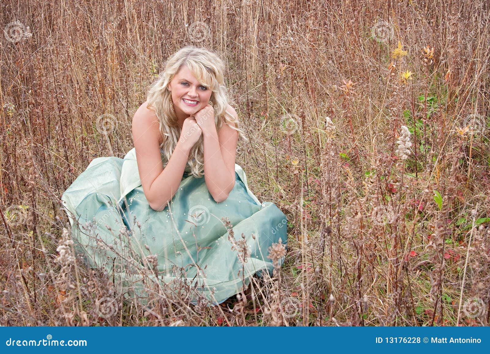 Prom girl stock photo. Image of blond, female, path, evening - 13176228