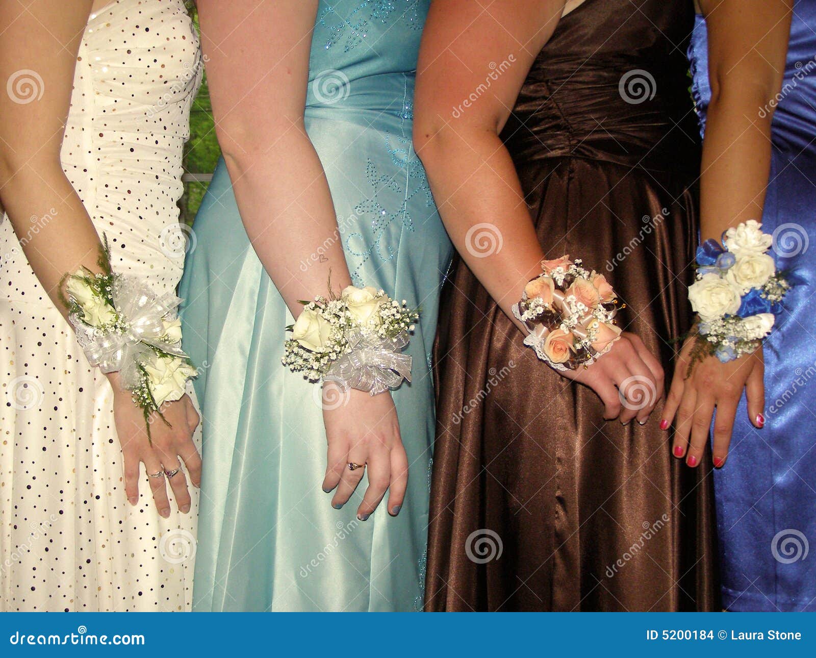 Prom Night stock photo. Image of formal, high, girls, dance - 5200184