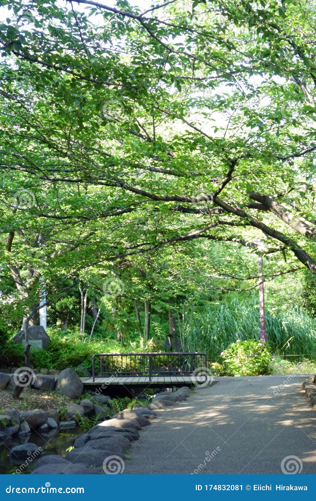 Promenade with Deep Windows and Greenery Stock Image - Image of natural ...