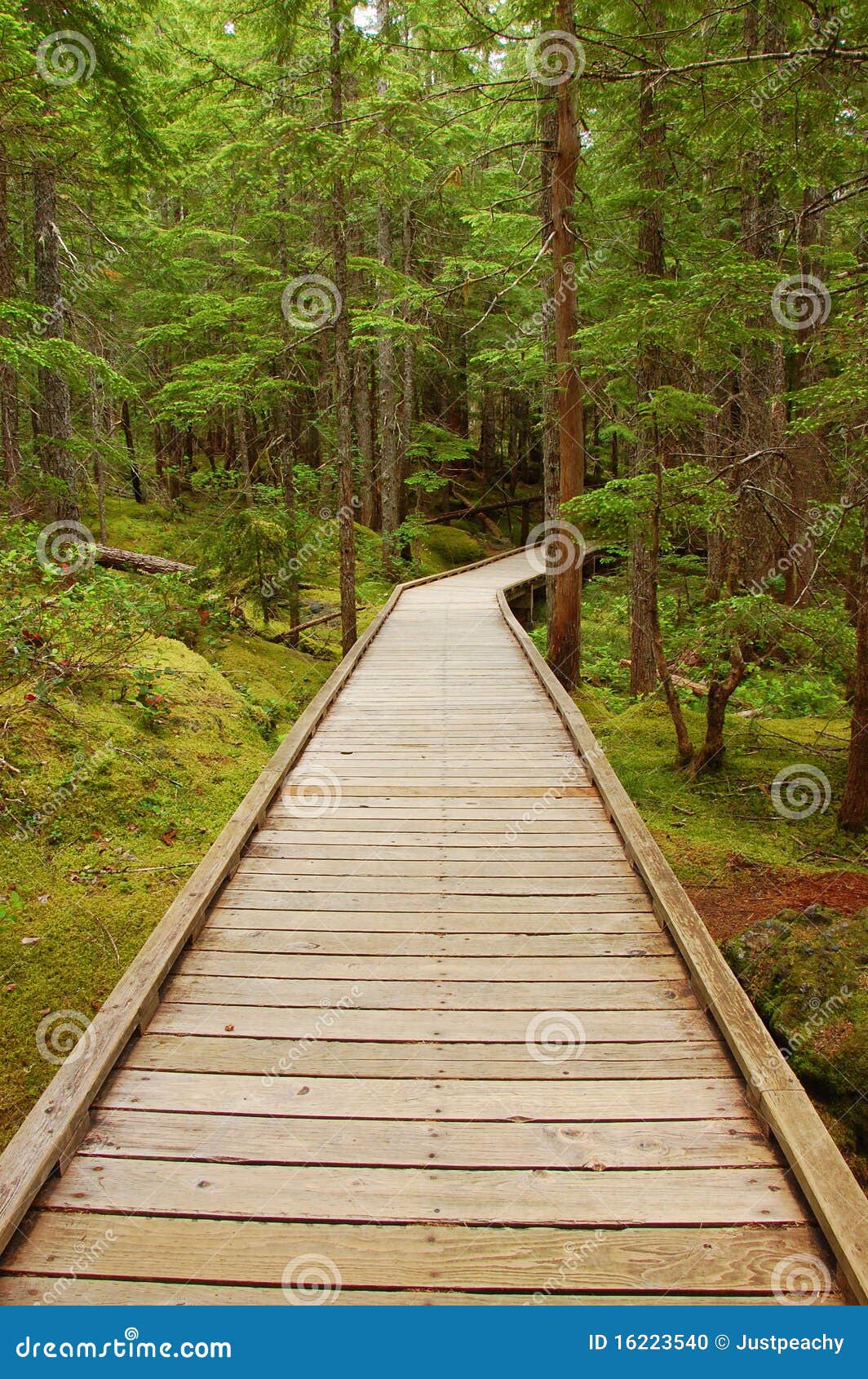 Promenade en bois photo stock. Image du bois, extérieur - 16223540