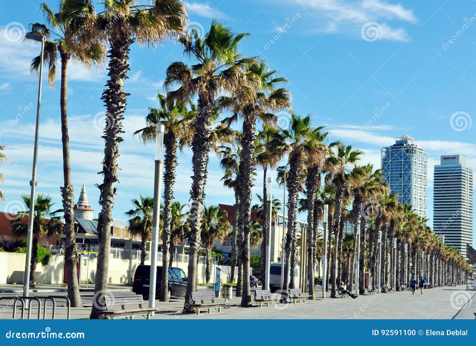 Promenade with Palm Trees in Barcelona Stock Photo - Image of blue ...