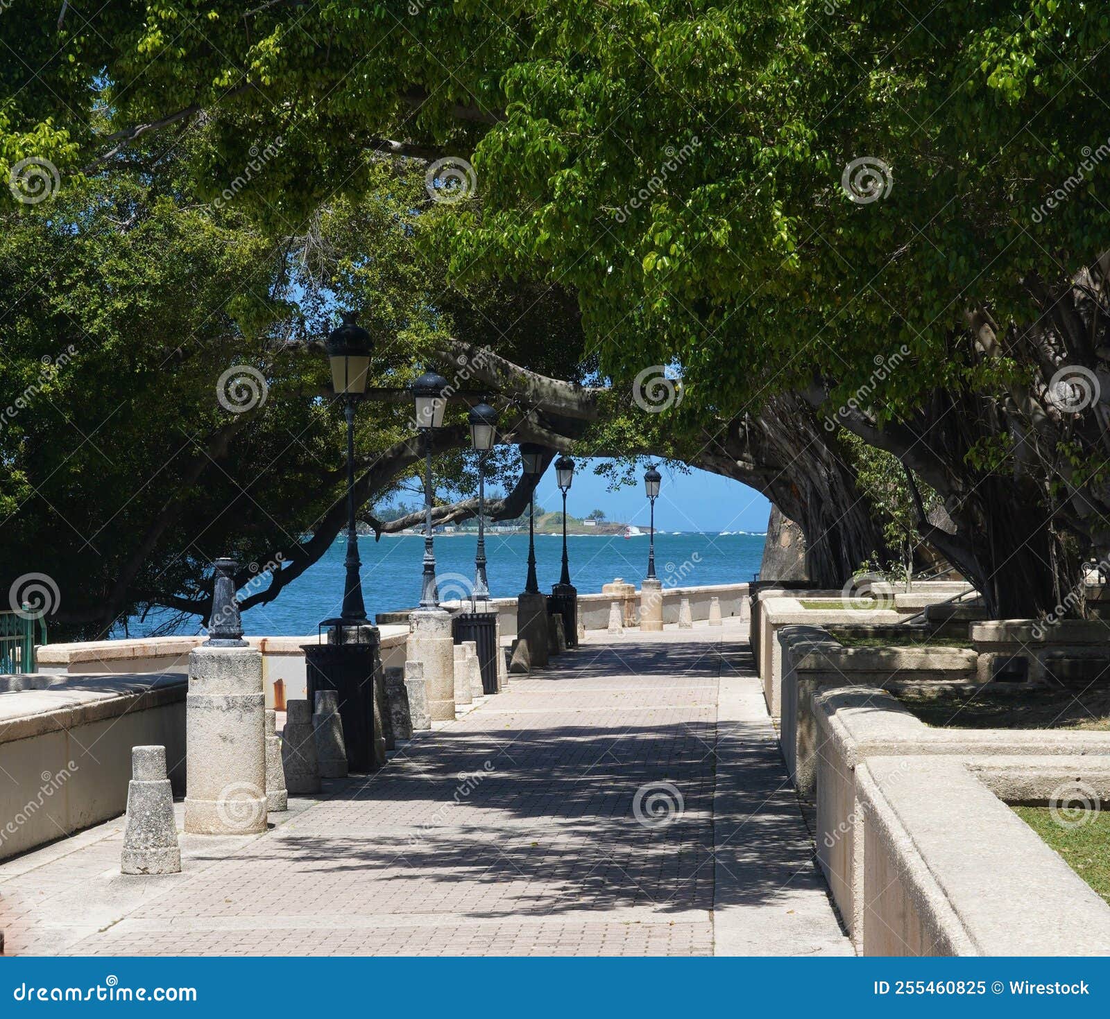 Promenade with Trees and Lamps by the Sea Stock Image - Image of ...