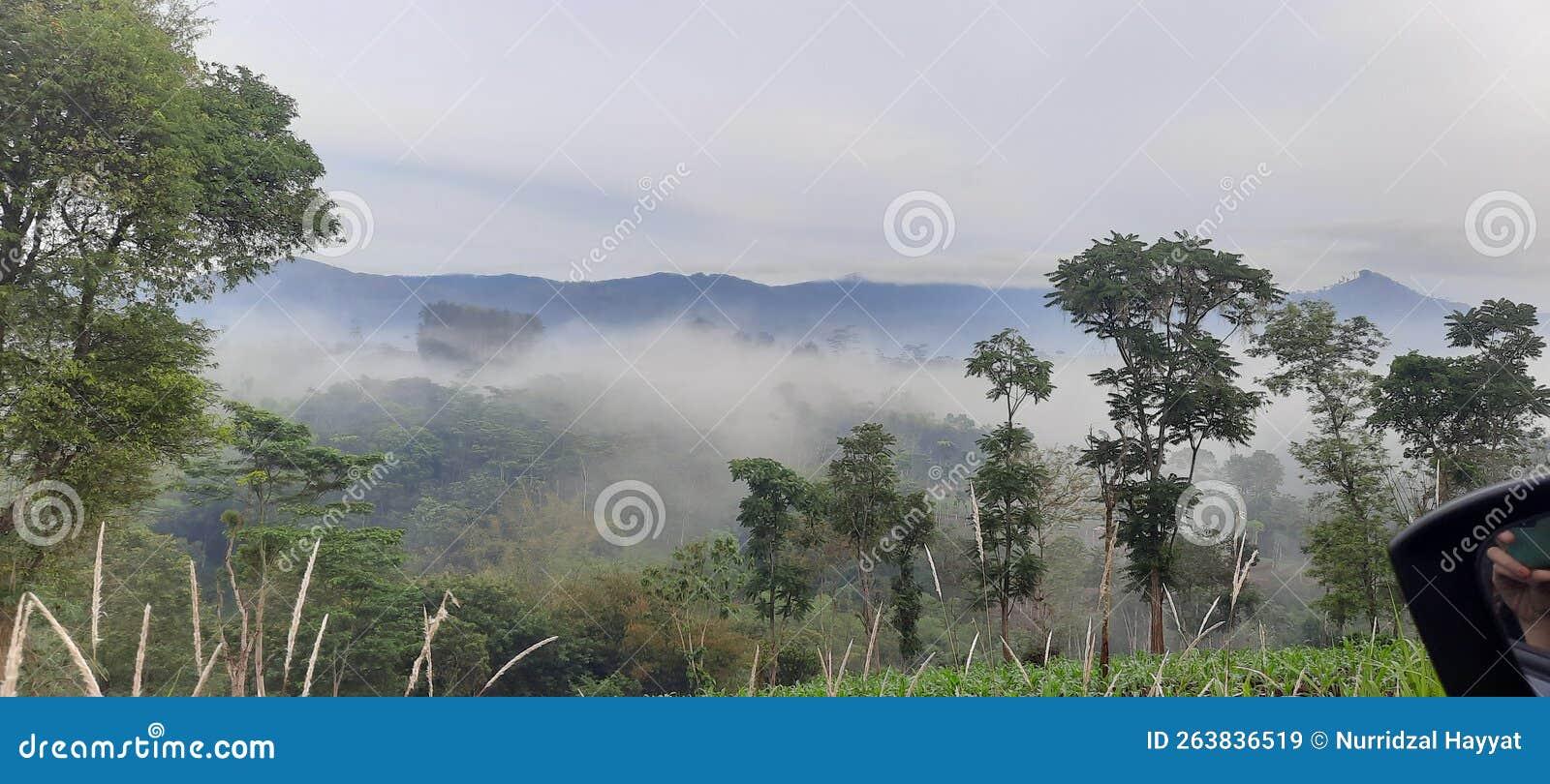 Prometerse Mucho Mejor Deseo Y Esperanza Imagen de archivo - Imagen de ...