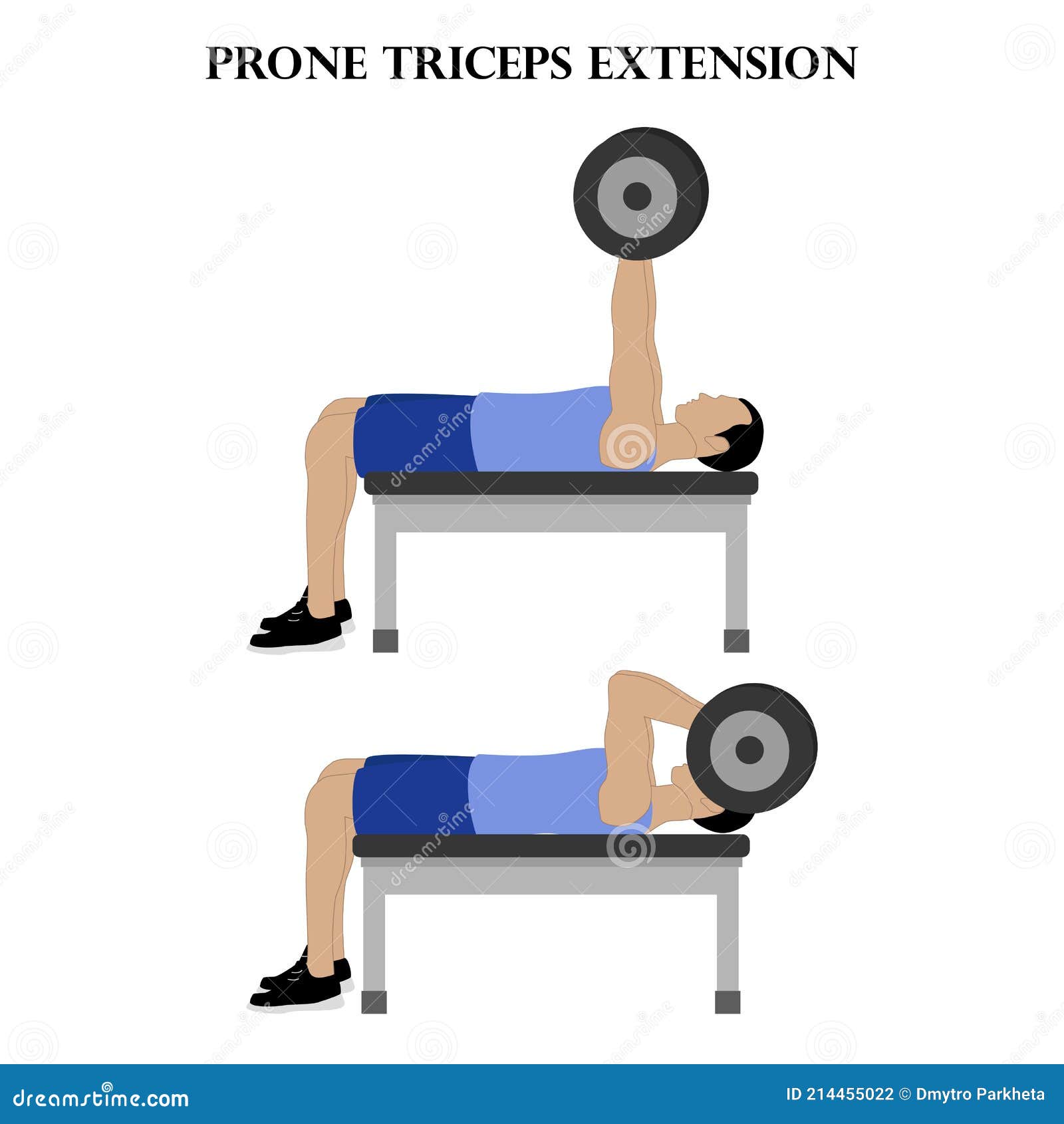 Prone Triceps Extension Exercise Strength Workout Vector Illustration ...