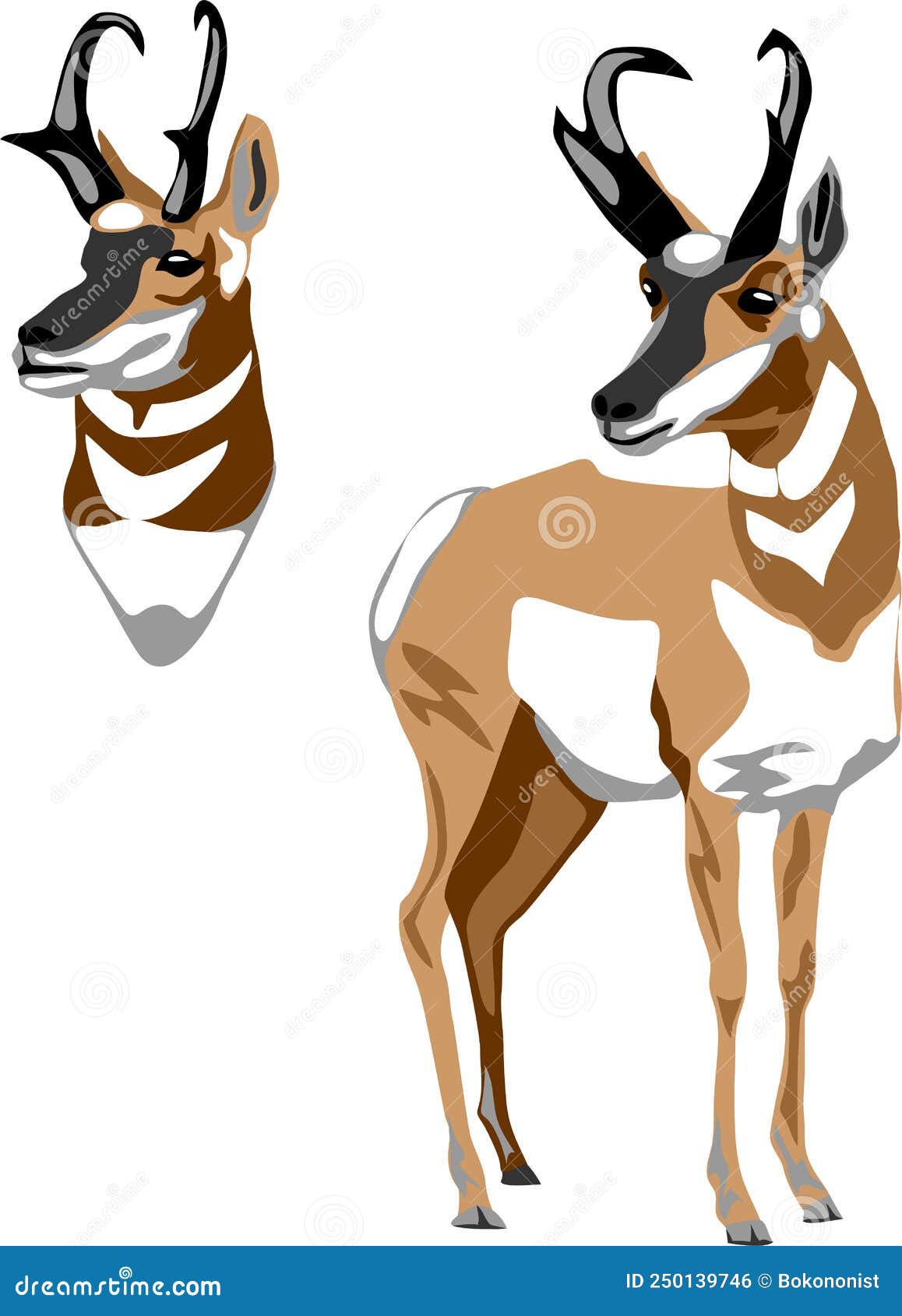 Pronghorn antelope vector stock vector. Illustration of antelope ...