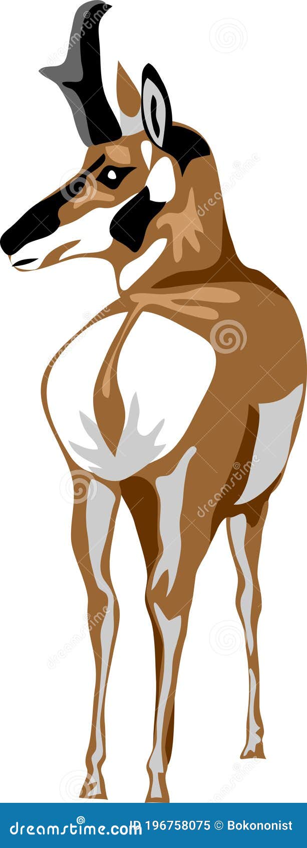 Pronghorn Illustration Vector.Cartoon Pronghorn | CartoonDealer.com ...