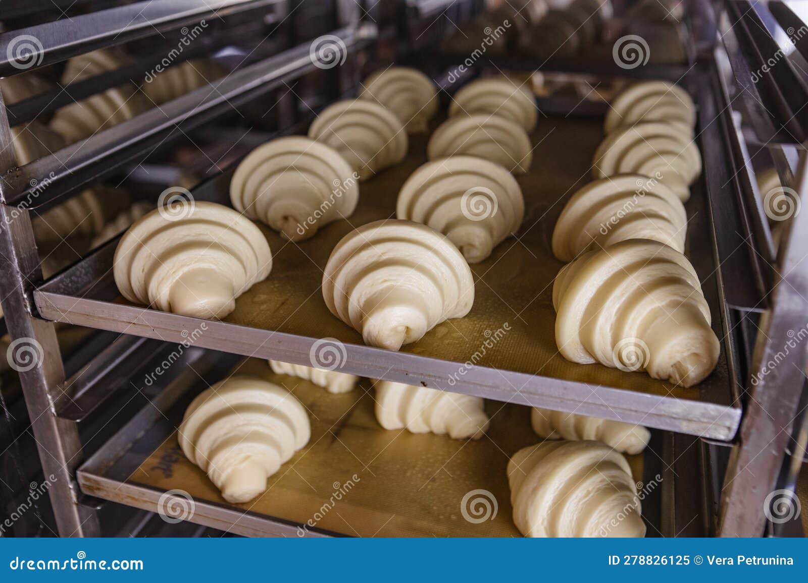 Proofed Croissant Dough on a Baking Sheet in the Oven Stock Image ...