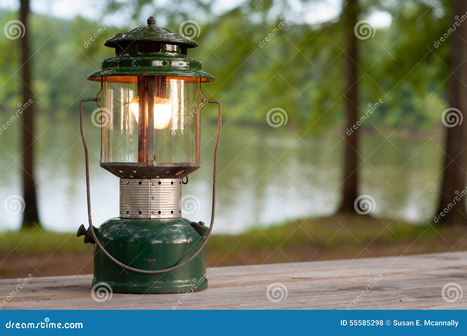 Propane Camping Lantern stock photo. Image of metal, fuel - 55585298