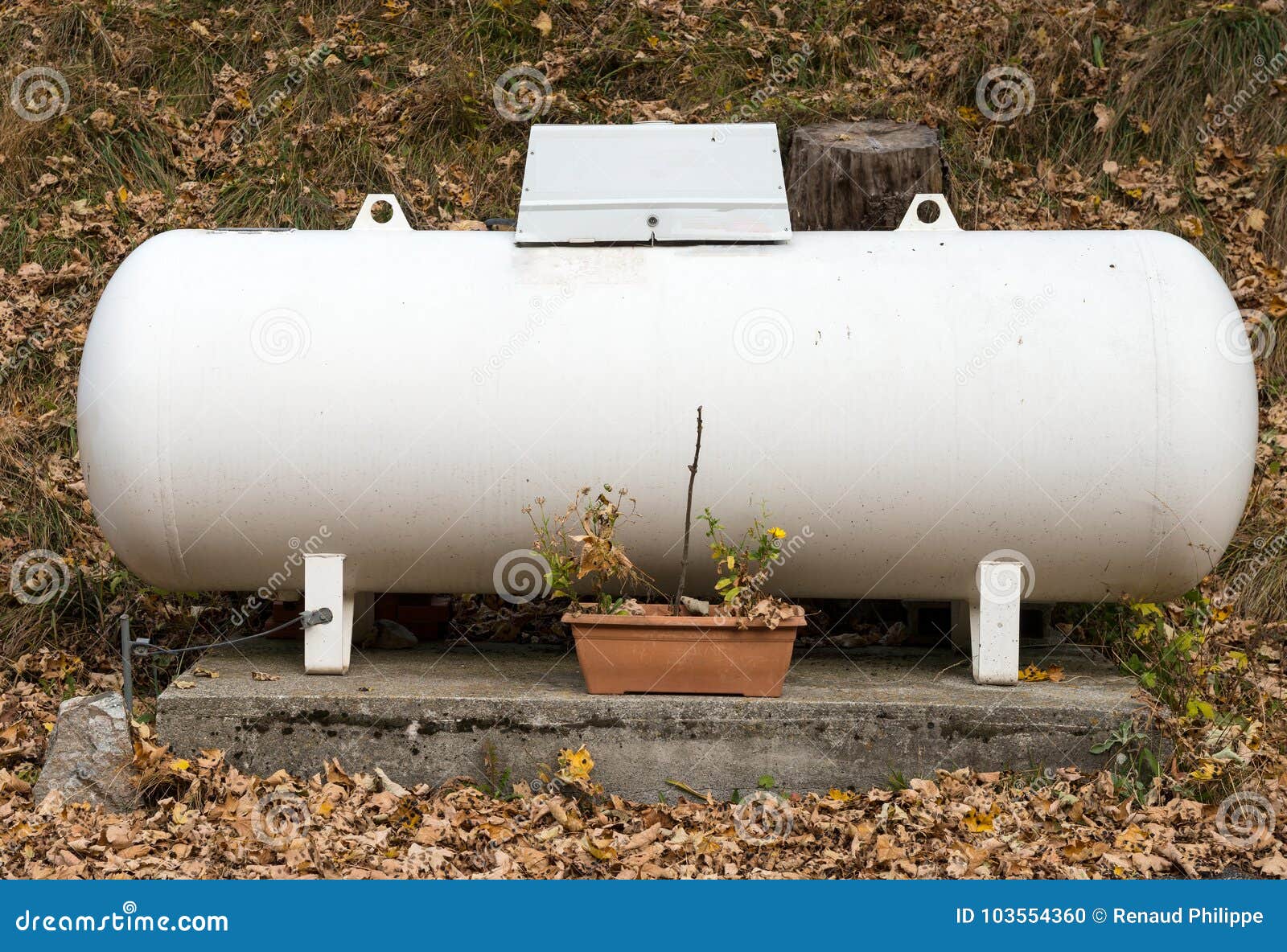Propane Gas Tank in a Garden. Stock Photo - Image of safety, natural ...