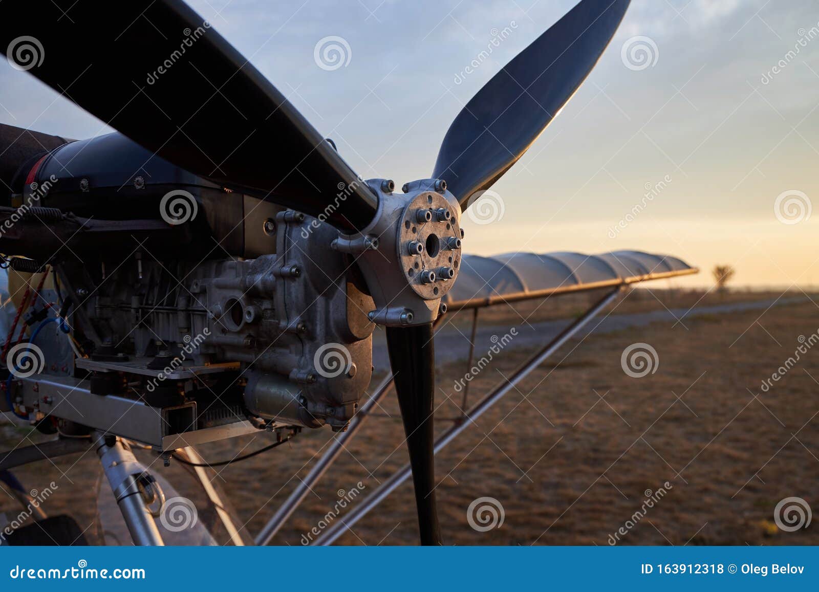 Propeller and Internal Combustion Engine of an Ultralight Aircraft ...