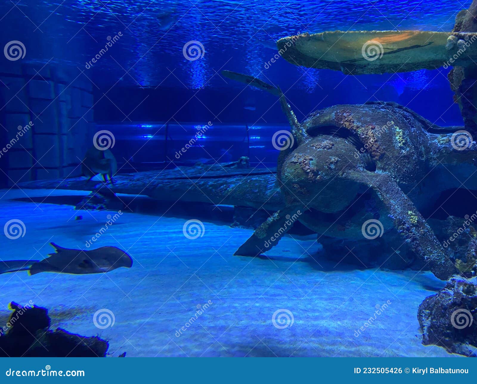 The Propeller of a Japanese Zero Fighter on a Shallow Reef in Palau ...