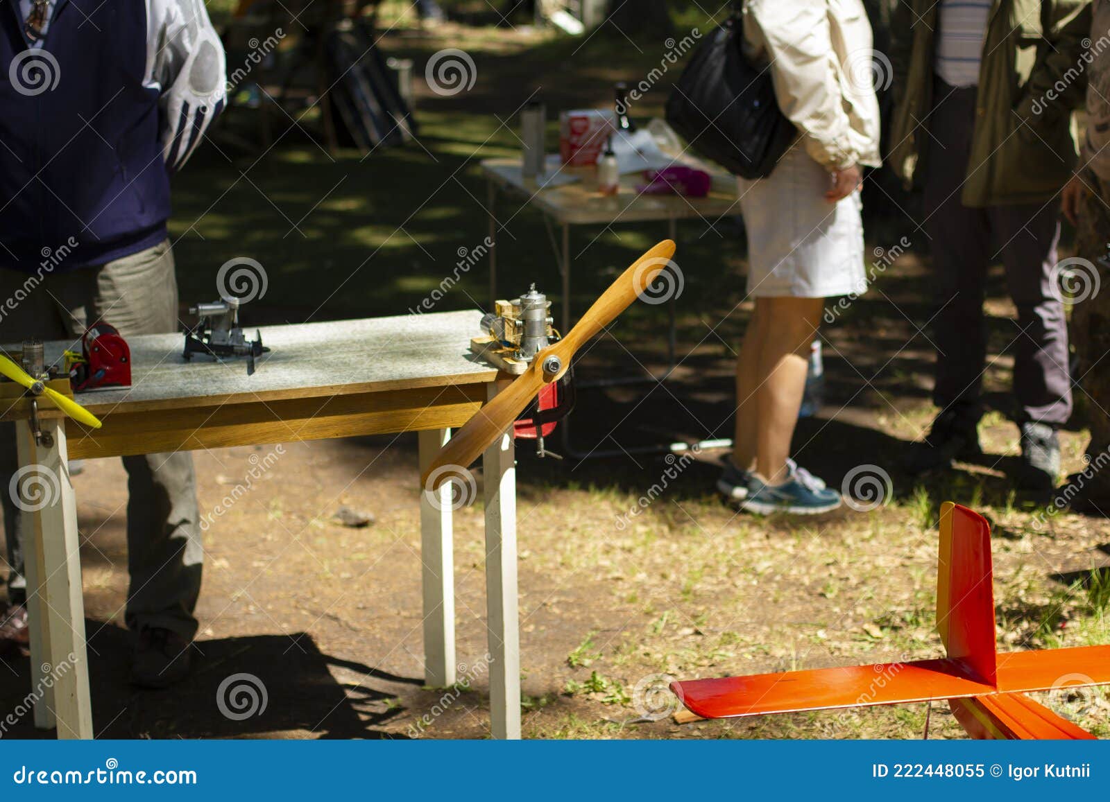 Propeller Model of Airplane Prepared for Aeromodelling Competitions ...
