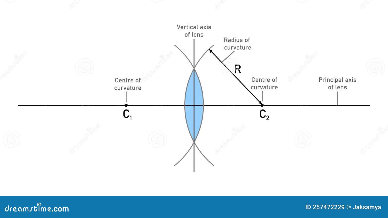 Properties of Convex Lenses. Parts of Convex Lens in Principal Axis ... Properties of Convex Lenses. Parts of Convex Lens in Principal Axis ...
