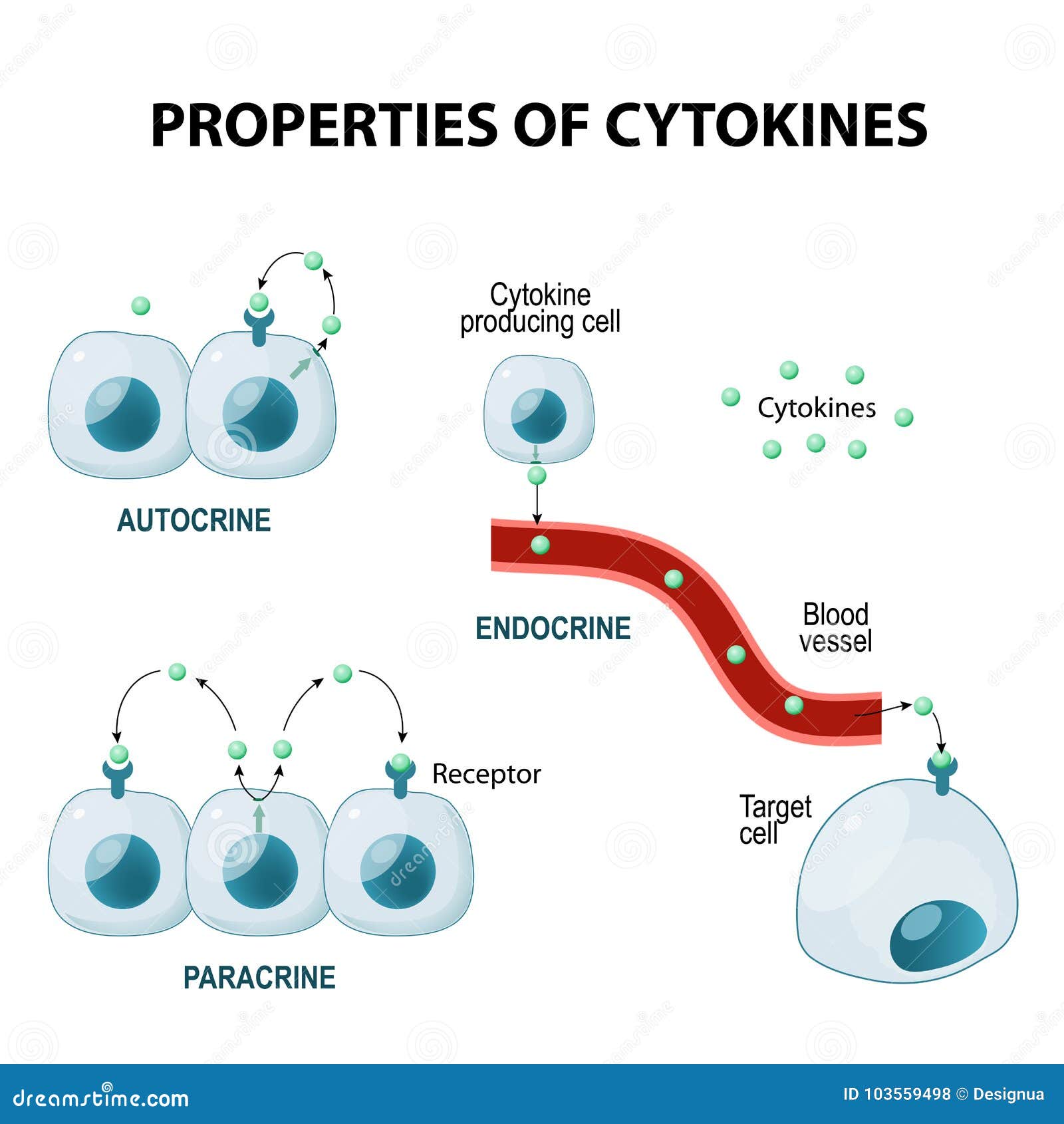 Cytokines Cartoons, Illustrations & Vector Stock Images - 374 Pictures ... Cytokines Cartoons, Illustrations & Vector Stock Images - 374 Pictures ...