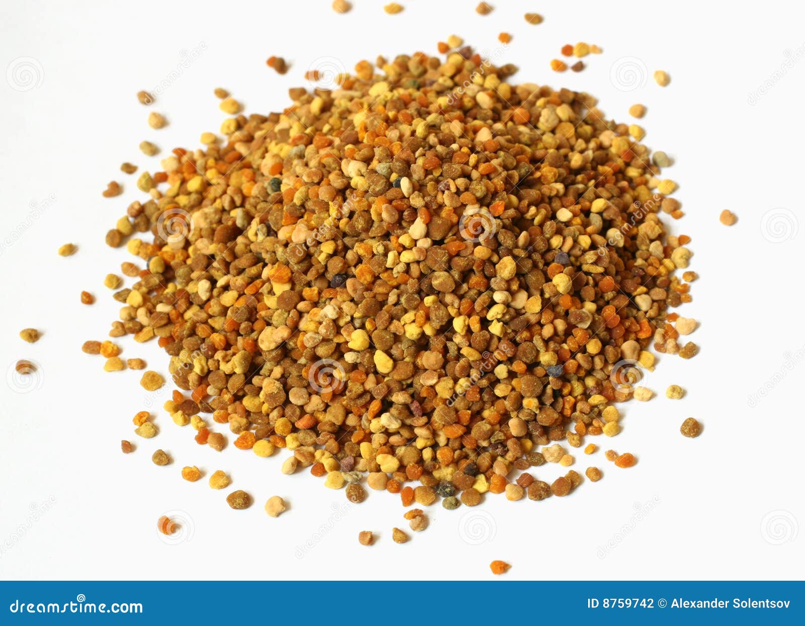 Propolis stock photo. Image of decoration, coloured, propolis - 8759742