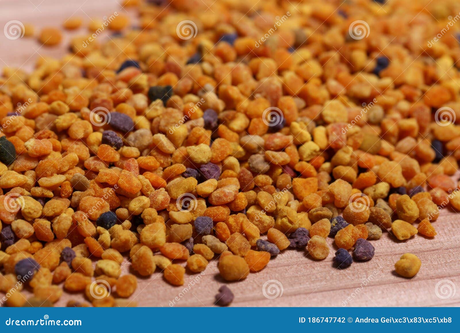 Propolis bees bee pollen stock photo. Image of medicine - 186747742