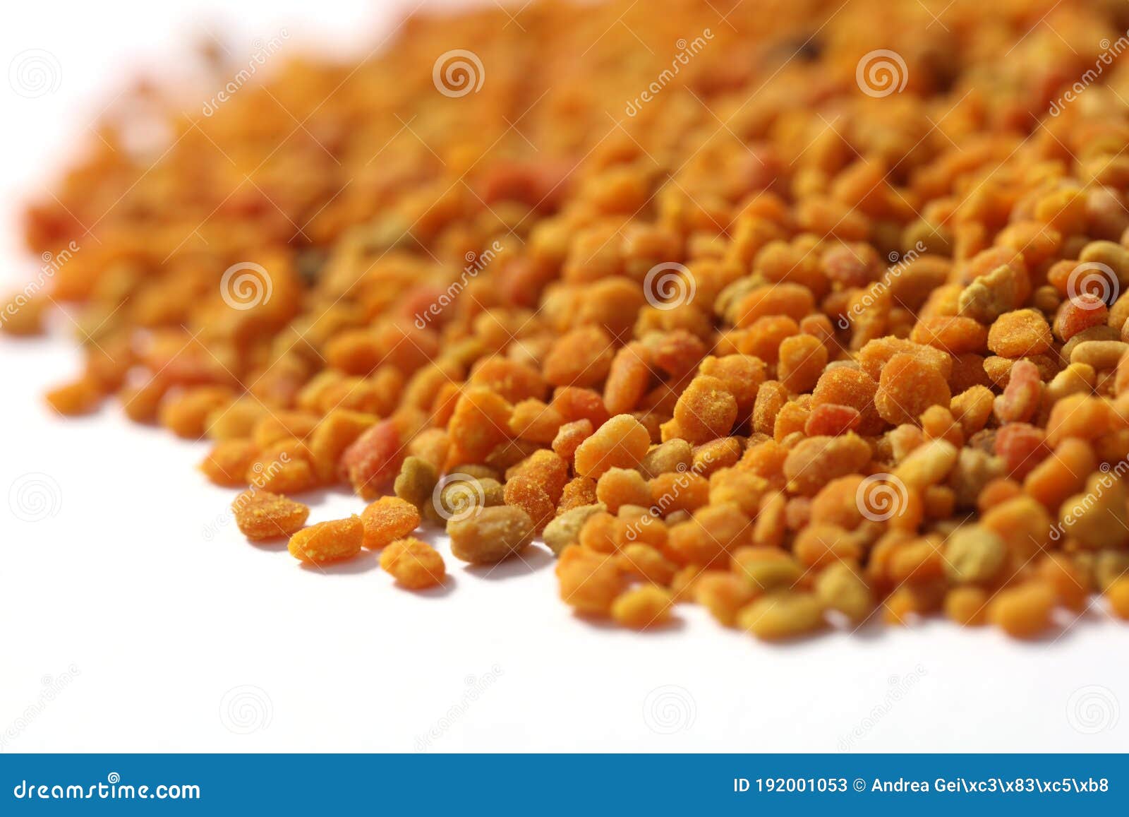 Propolis bees bee pollen stock image. Image of imke - 192001053