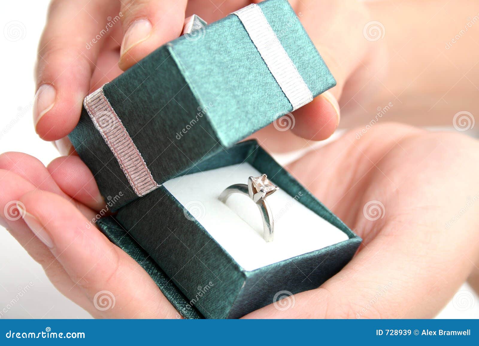 Proposal stock image. Image of couple, proposal, hart, intimate - 728939