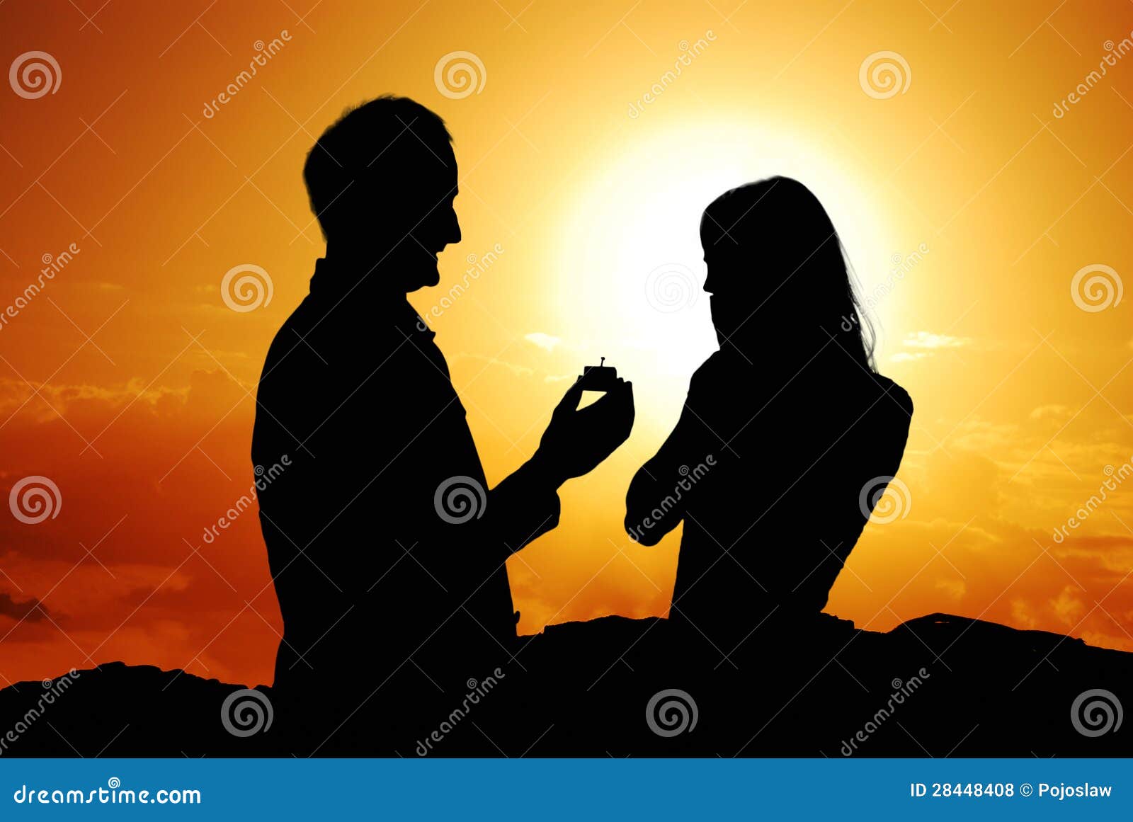 Proposal scene stock photo. Image of romance, date, marriage - 28448408