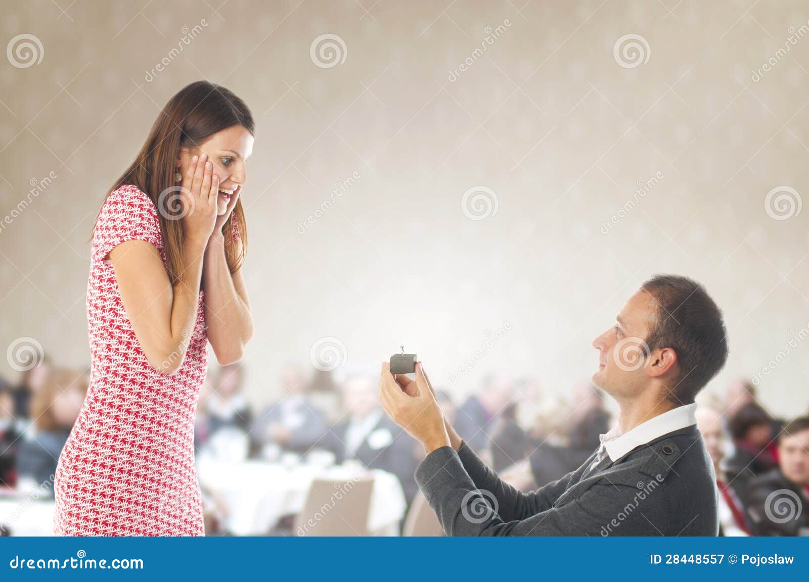 Proposal scene stock image. Image of kneeling, present - 28448557