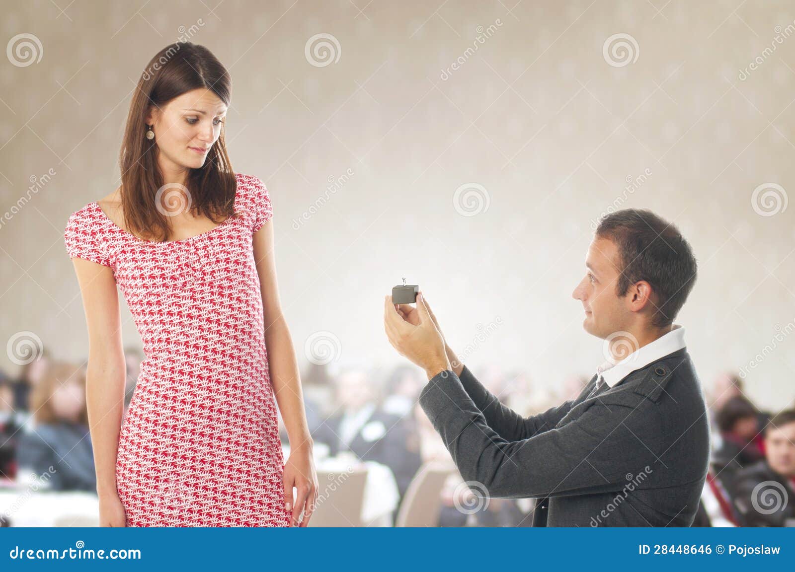 Proposal scene stock photo. Image of beautiful, evening - 28448646