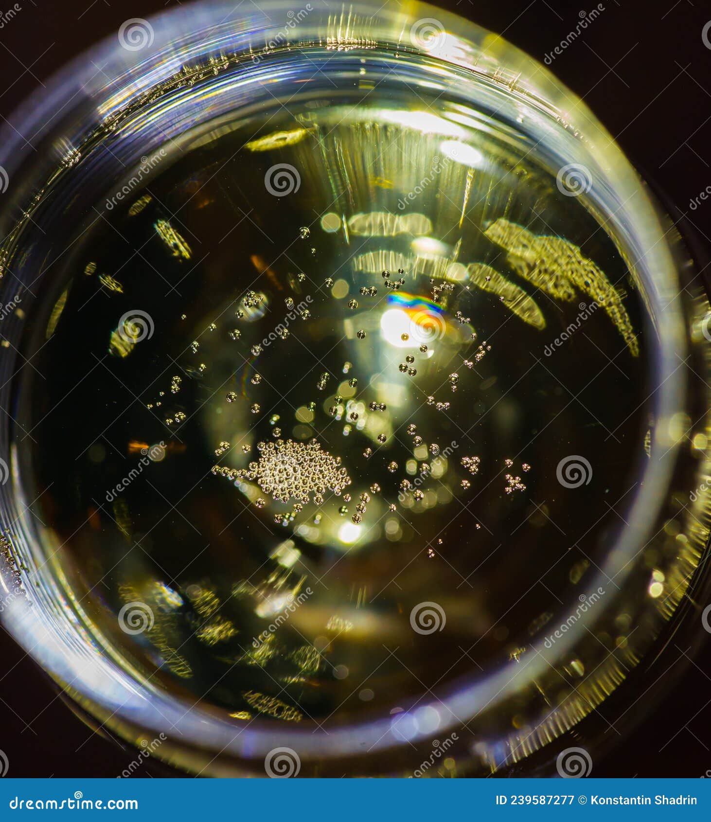 Prosecco Being Poured into a Glass Stock Image - Image of cocktail ...
