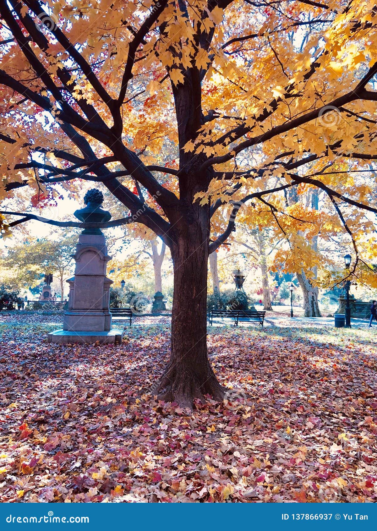 Prospect park New stock image. Image of york, fall, park - 137866937