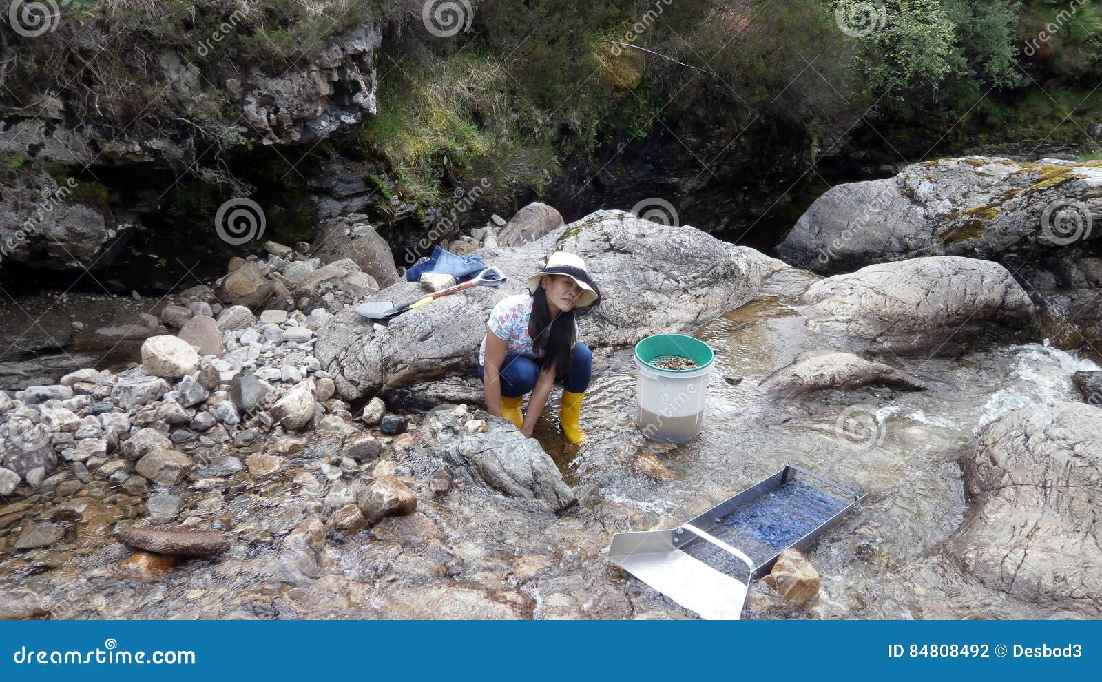 Prospecting for Gold stock photo. Image of prospecting - 84808492