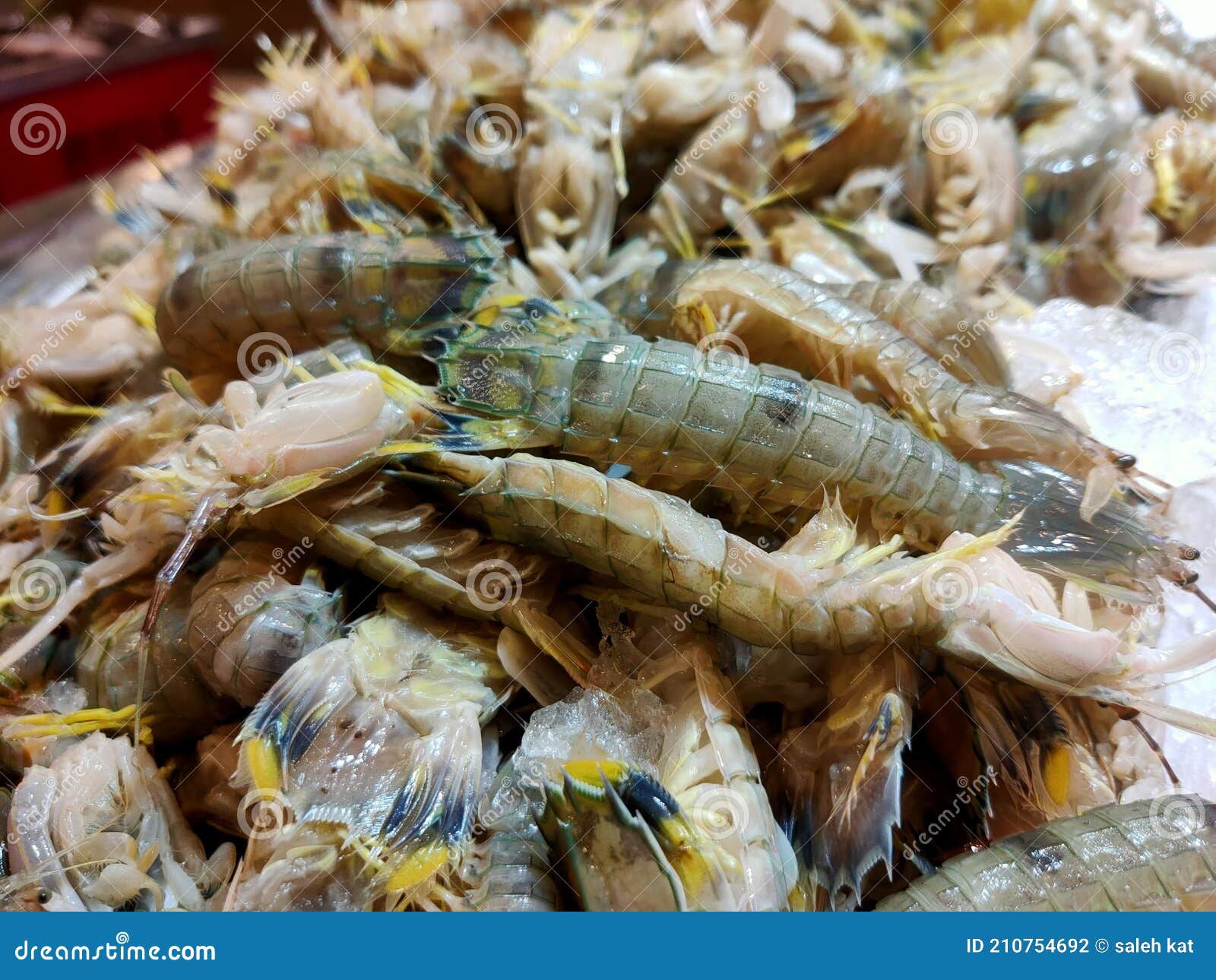 Centipede Vegetable-eating Millipedes Royalty-Free Stock Photo ...