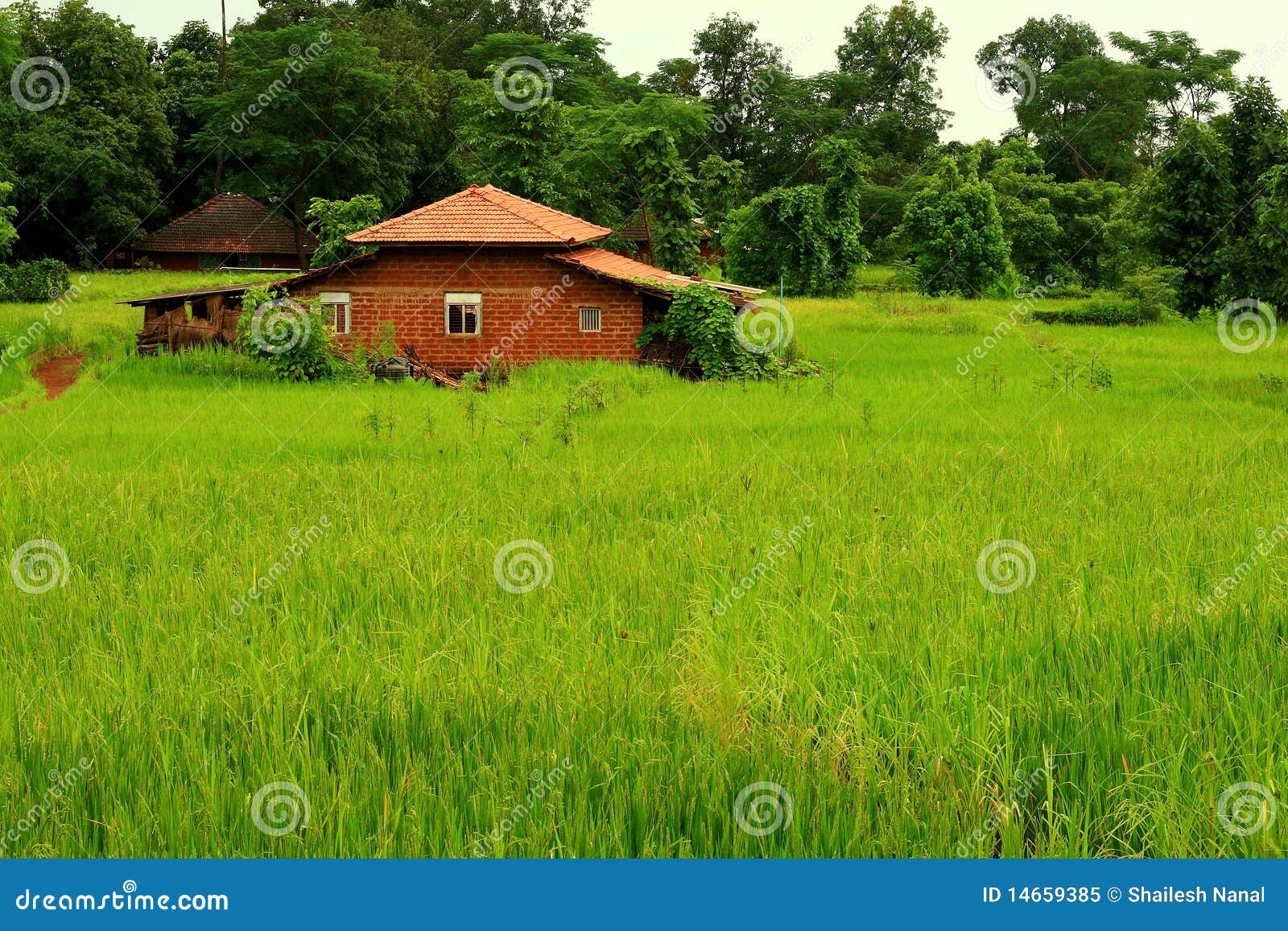 Prosperous Indian village stock image. Image of scene - 14659385